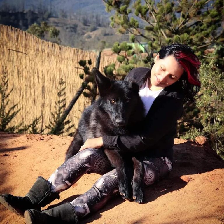 Znáte plemeno CALUPOH – elegantního Mexičana s vlčí krví? – www ...